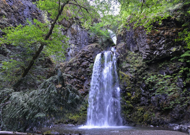 Fall Creek Falls, Oregon stock image. Image of lush, stream - 42894421