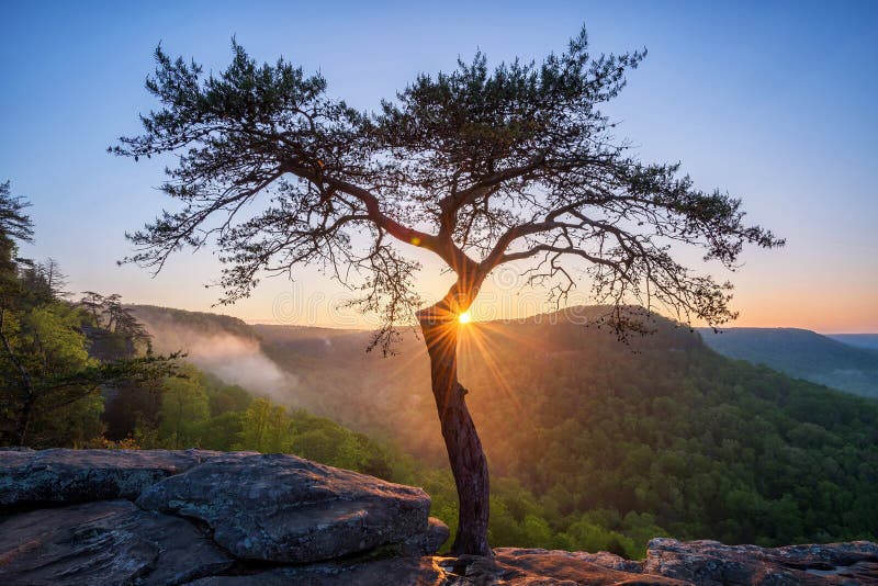 Sunburst Falls, North Carolina Stock Photo - Image of fork, colors ...