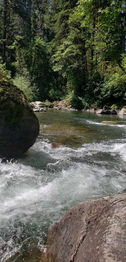 Fall Creek Oregon stock image. Image of july, creek - 123000321