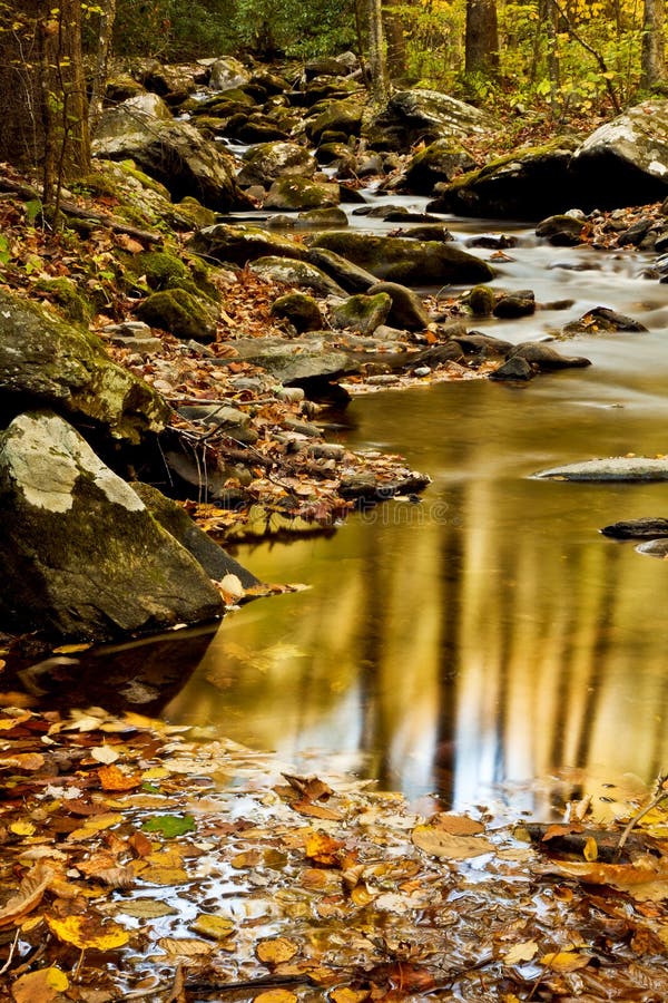 Fall Creek with Rocks and Trees Stock Image - Image of geological ...