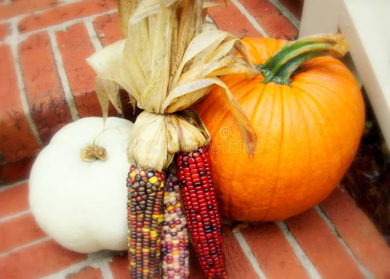Fall crops stock photo. Image of purple, floor, closeup - 2836312