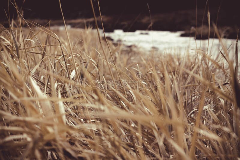 Fall Crops Picture. Image: 95271800