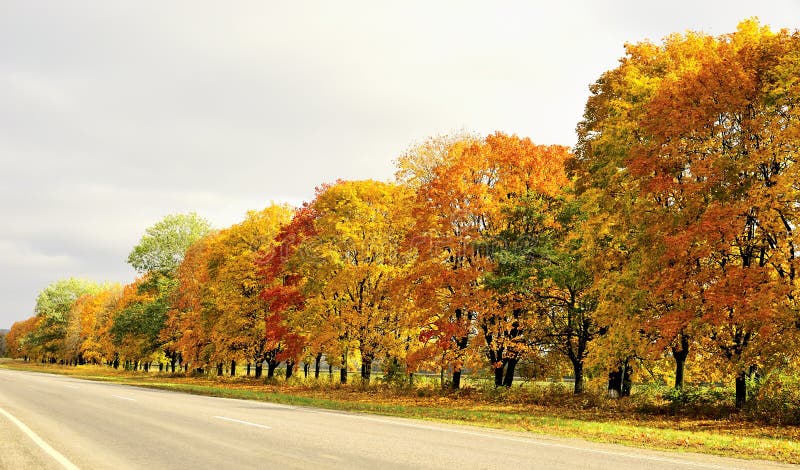 Country Road, Fall, Corn Fields Stock Photo - Image of highway ...