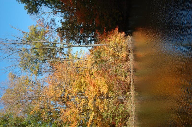 Fall day 2 stock image. Image of outdoors, leaves, details - 6915093