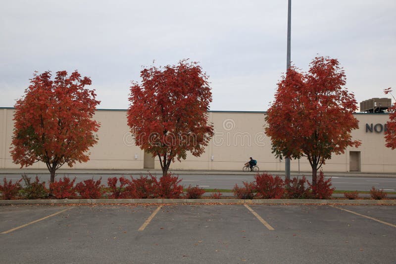 Fall day in Anchorage stock image. Image of fall, amazing - 123260591