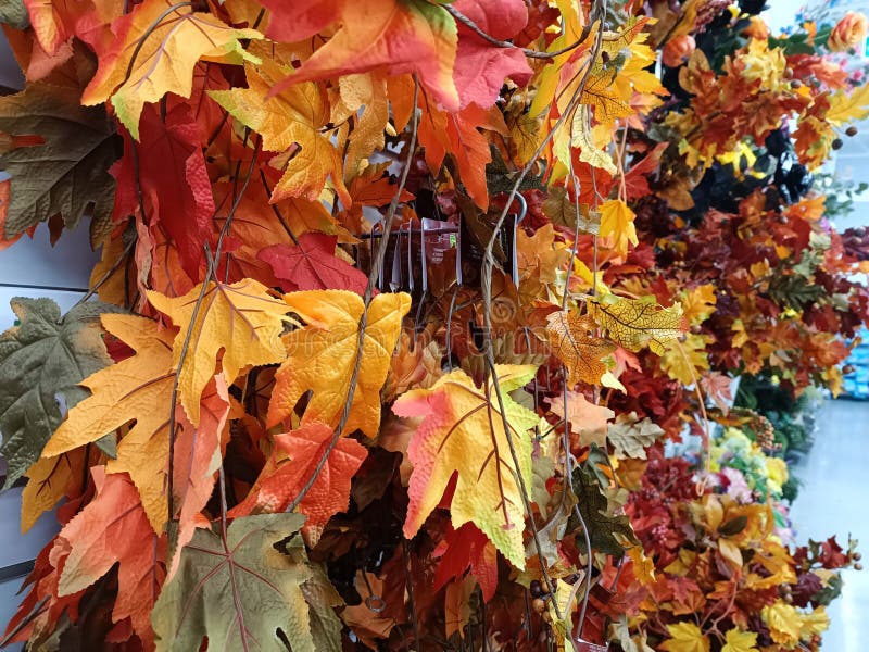 Fall decorations stock photo. Image of bill, leaves - 256221942