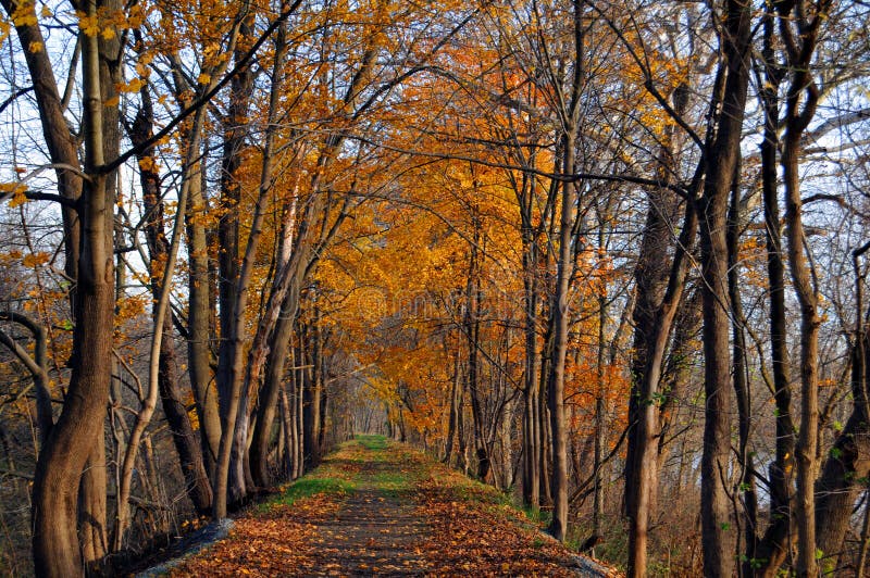 Fall on the Delaware stock photo. Image of leaves, season - 35929440