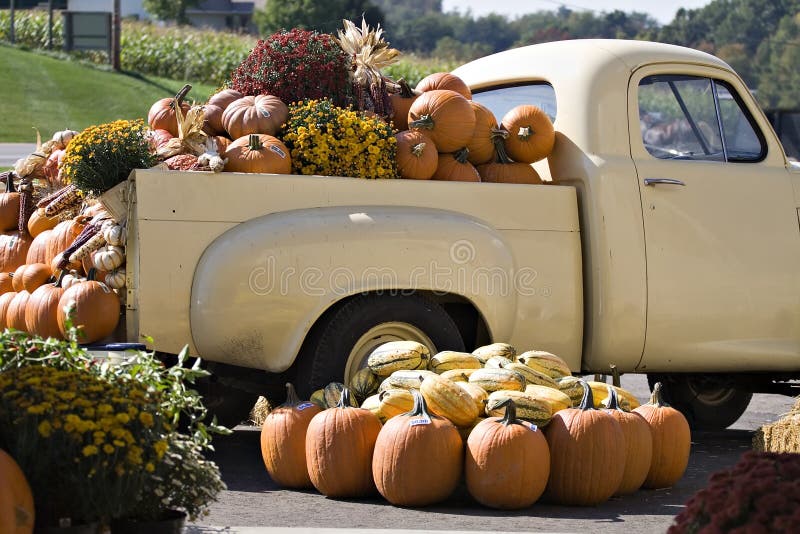 Fall Harvest Decorative Vegetables on Farm Stand Stock Image - Image of ...