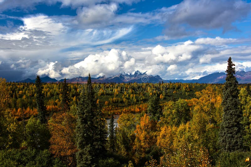 Fall in Denali stock photo. Image of fresh, landscape - 91479124