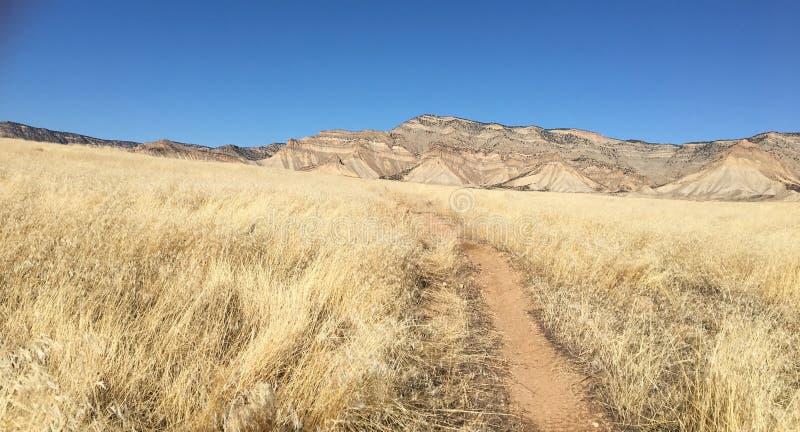 Fall desert landscape stock photo. Image of desert, grasses - 83678682