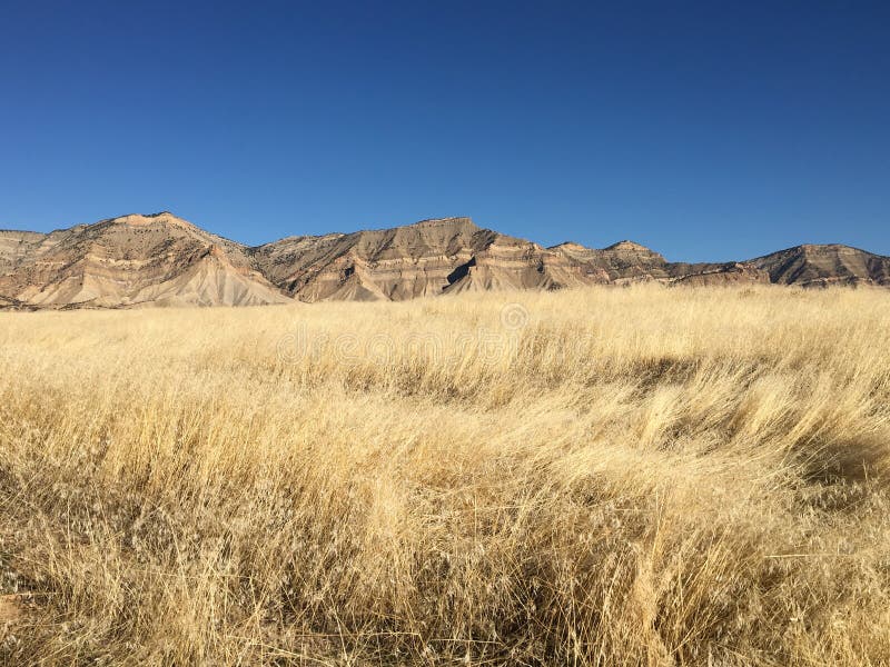 Fall desert landscape stock photo. Image of landscape - 83678702