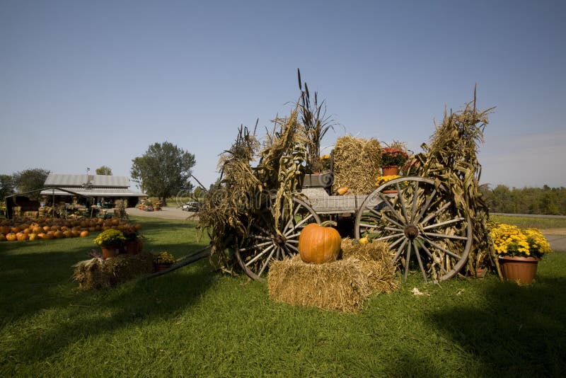 Barn in Fall stock photo. Image of seasonal, latern, thanksgiving - 1300108