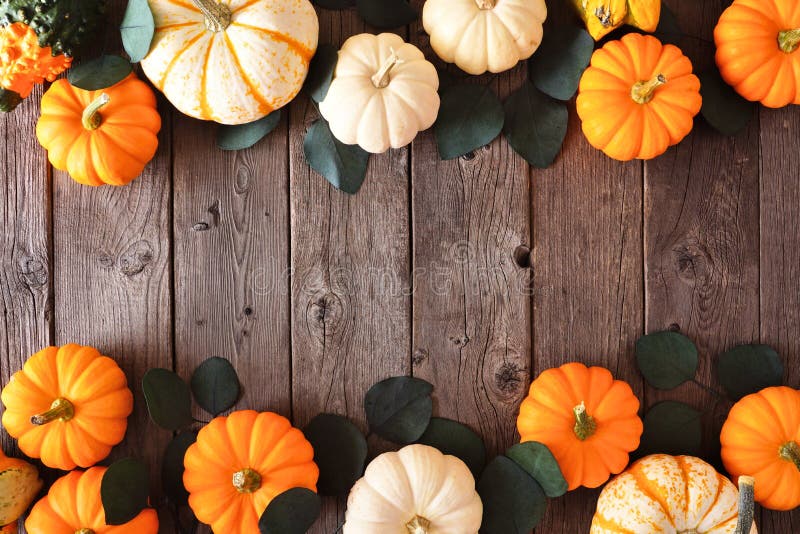 Fall Double Border of Pumpkins, Leaves and Natural Autumn Decor on a ...
