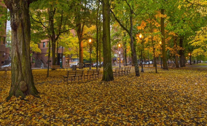 Fall in Downtown Portland stock image. Image of yellow - 46363195