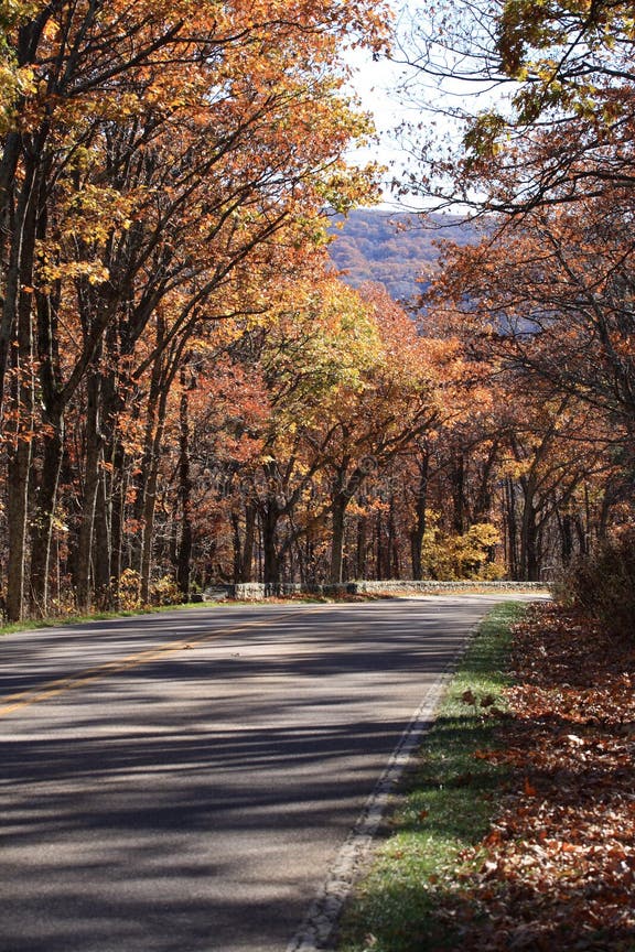 445 Skyline Drive Fall Foliage Stock Photos - Free & Royalty-Free Stock ...