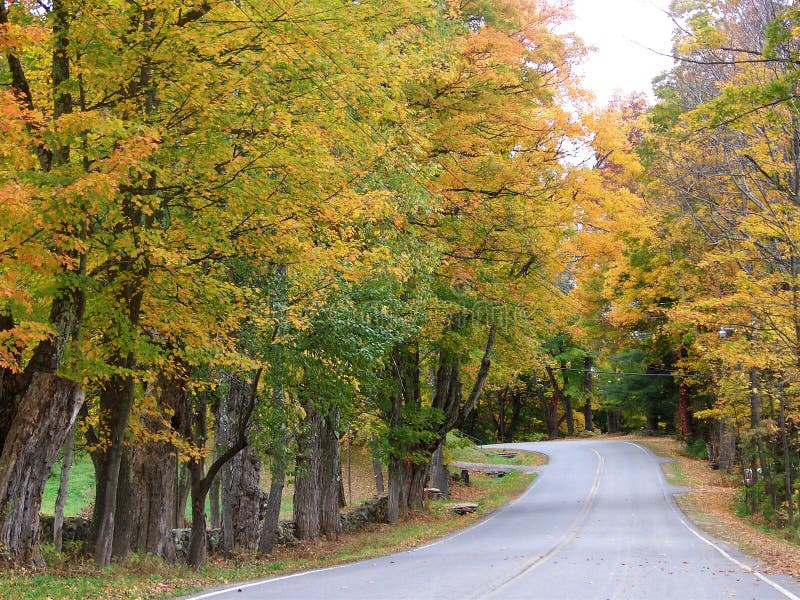 Fall drive stock photo. Image of season, england, branches - 16115852