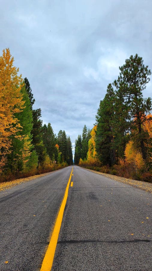 Fall Drive in the Cascade Mountains Stock Photo - Image of oregon ...