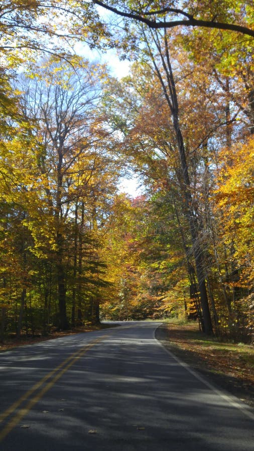 Fall drive stock image. Image of road, asphalt, spring - 75006067
