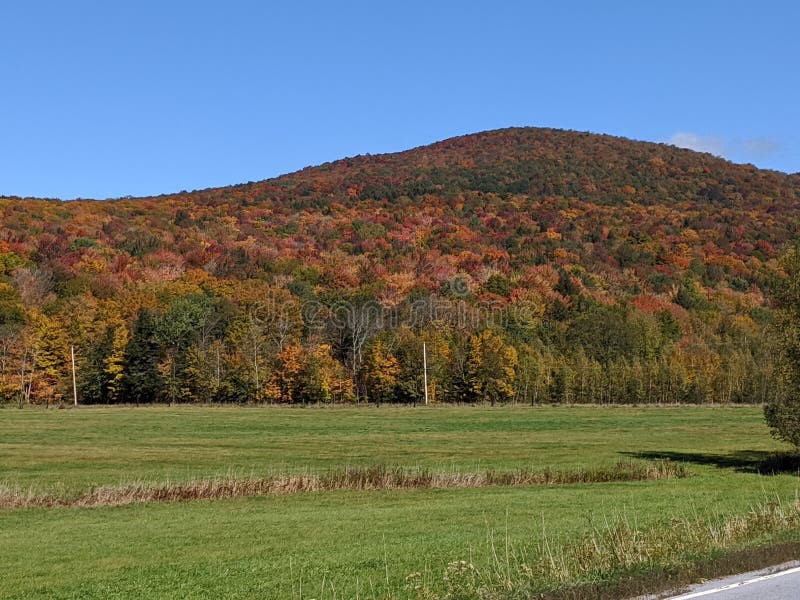 Fall in the Eastern Townships Stock Image - Image of tree, landscape ...