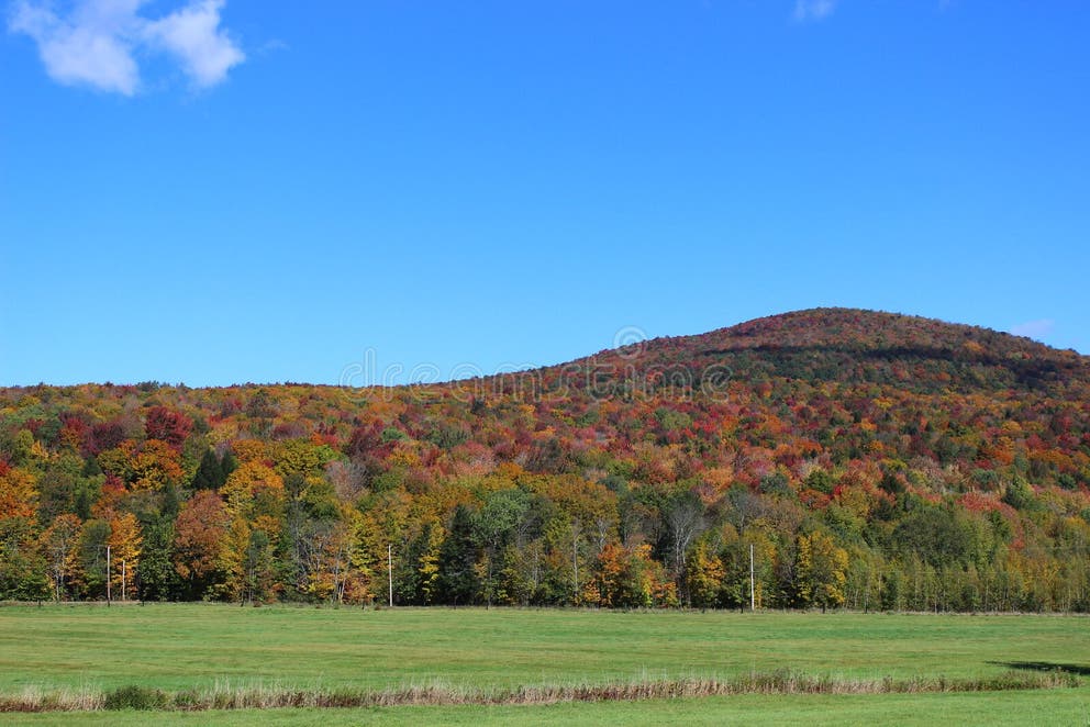 Fall in the Eastern Townships, Qc Stock Photo - Image of foliage ...