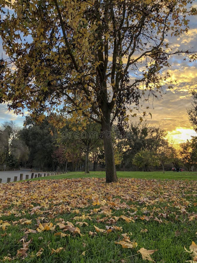 Fall Evening with Sky View stock image. Image of warm - 127905611