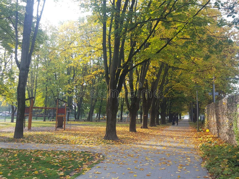 Fall stock photo. Image of park, bench, fall, trees - 160652456