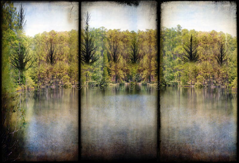 Fall Fantasy stock photo. Image of natural, water, fall - 217659180