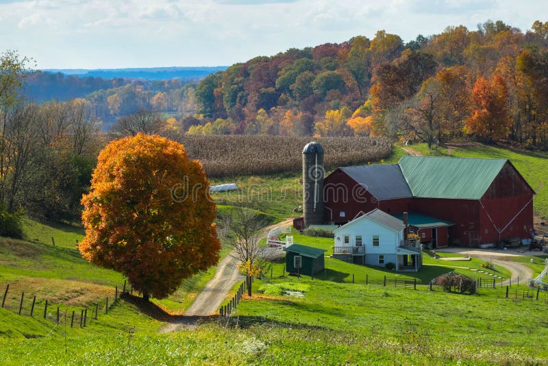 Fall farm. stock photo. Image of colorful, foliage, trees - 205728114