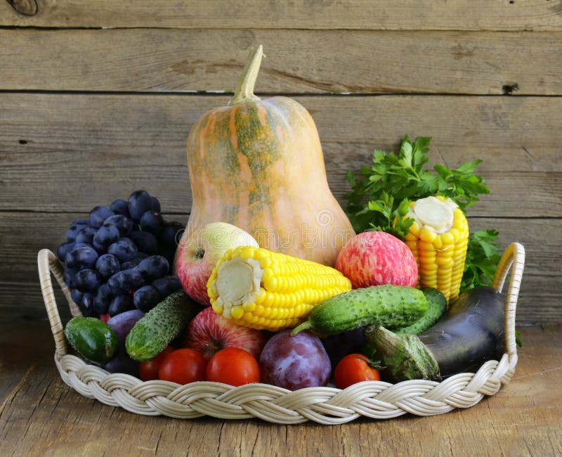 Fall Farm Display stock photo. Image of growing, grow - 60828606