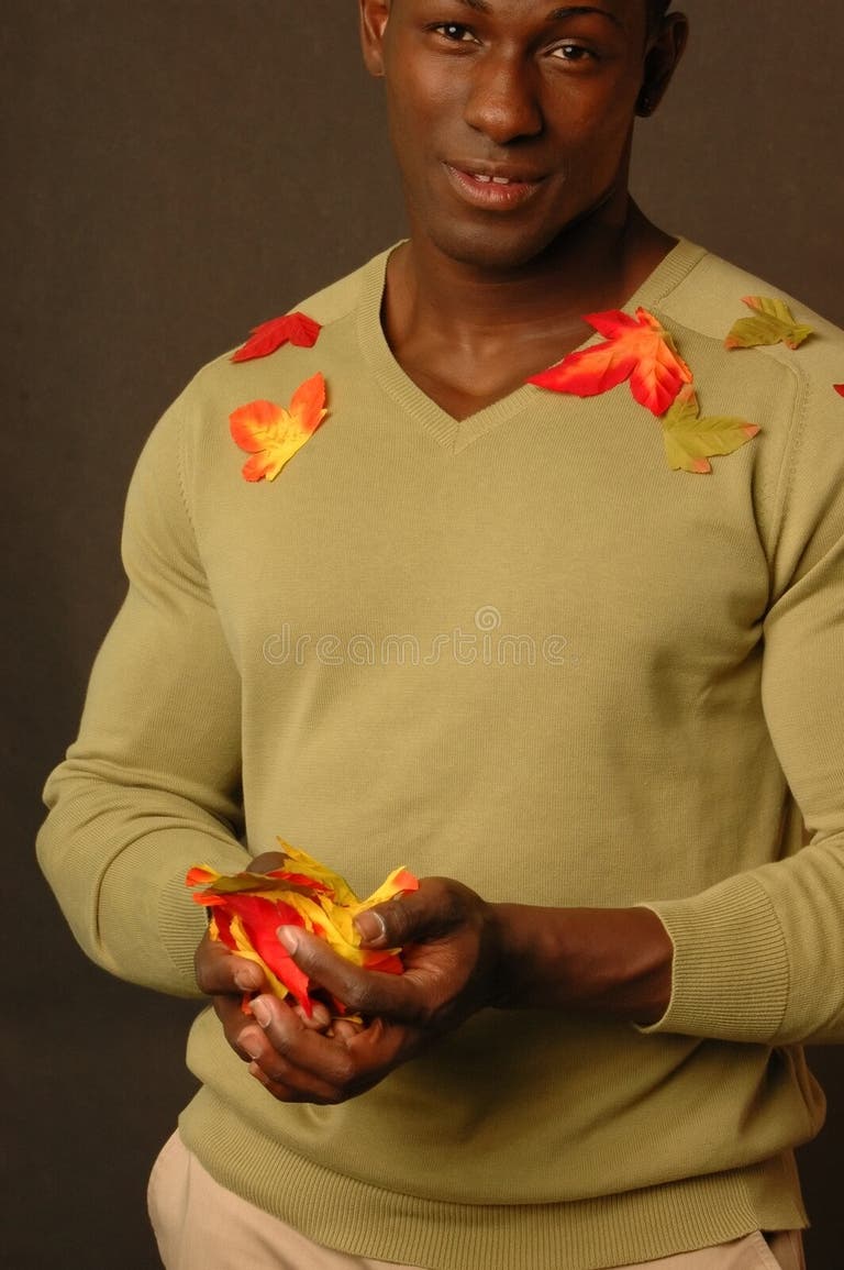 3,904 Fall Leaf Guy Stock Photos - Free & Royalty-Free Stock Photos from Dreamstime