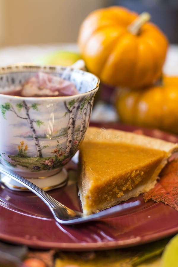 Fall feast stock image. Image of leaves, still, orange - 49794523