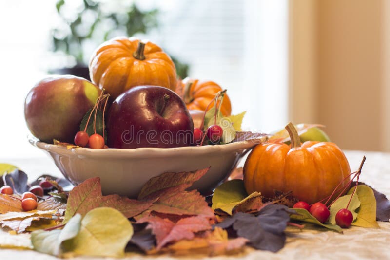 Fall feast stock image. Image of leaves, still, orange - 49794523