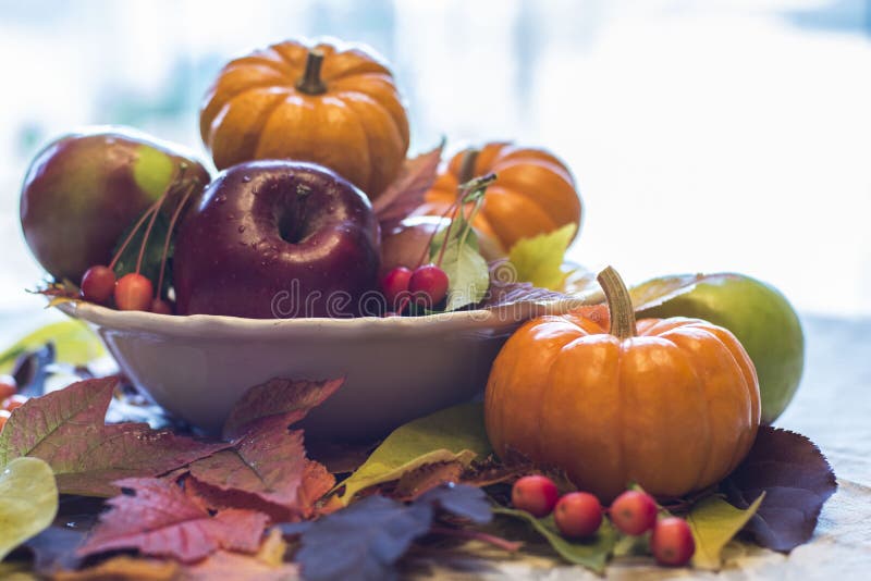 Fall feast stock photo. Image of orange, pumkinpie, drink - 49794684