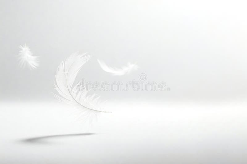 The Fall of a Feather, a Symbol of Lightness and Weightlessness. Space ...