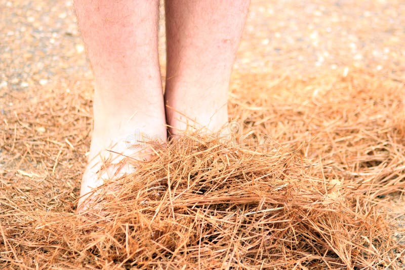 Fall Feet stock image. Image of small, people, sock, american - 5950003