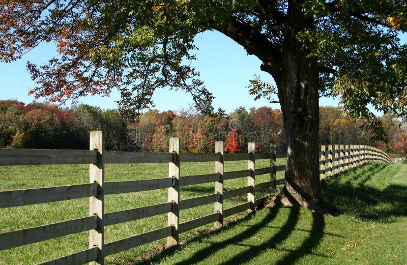 Fall Fence stock image. Image of tree, fence, trees, autumn - 1348193