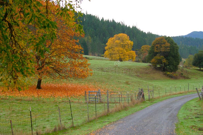 Fall in the Field stock image. Image of curved, slope - 12402799