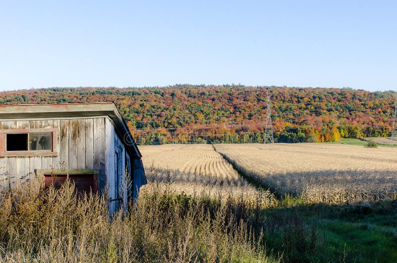 Fall field and barn stock photo. Image of fall, corn - 47872048