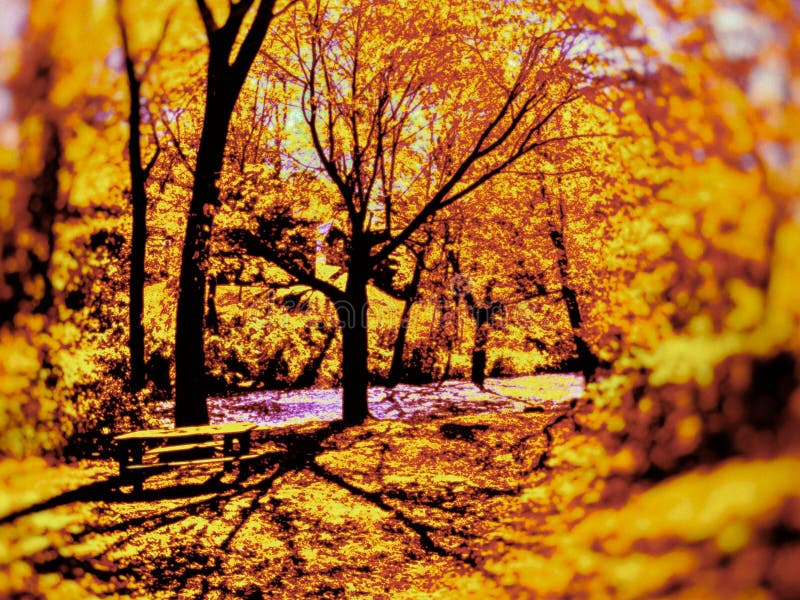 Fall fire stock photo. Image of color, beauty, background - 1413946