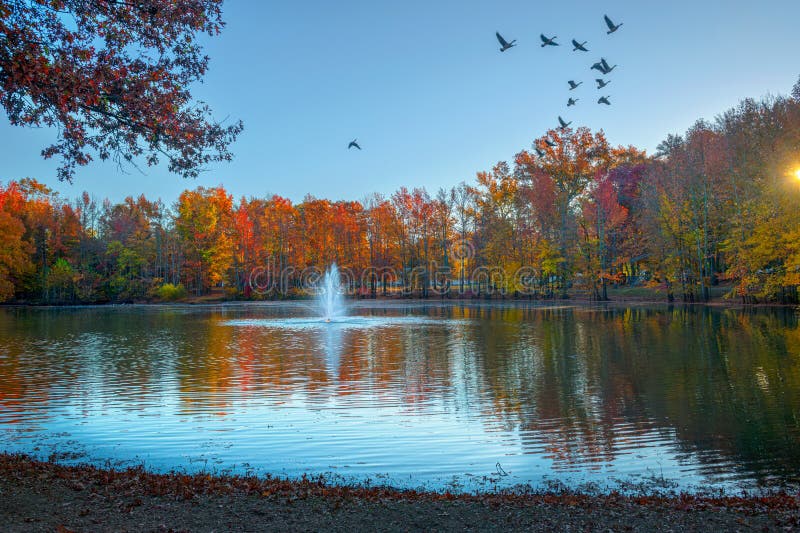 Fall Flight stock image. Image of foliage, lake, manalapan - 345322201