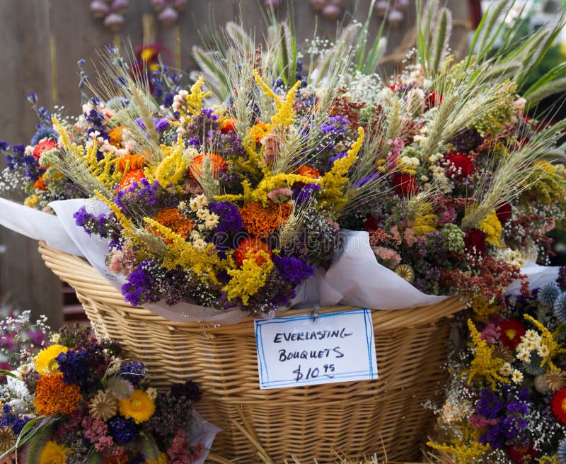 Fall flowers stock photo. Image of multi, decorations - 26808854
