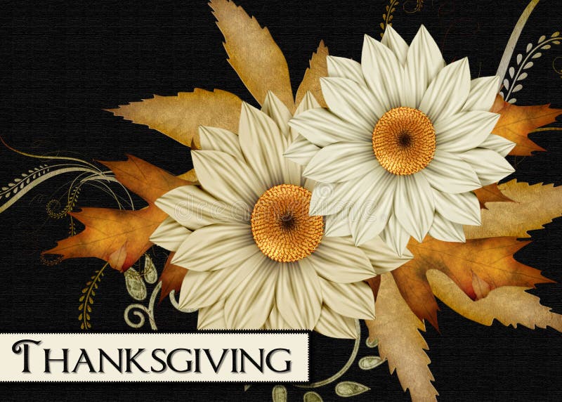 Fall Flowers Thanksgiving Card Stock Illustration - Illustration of ...