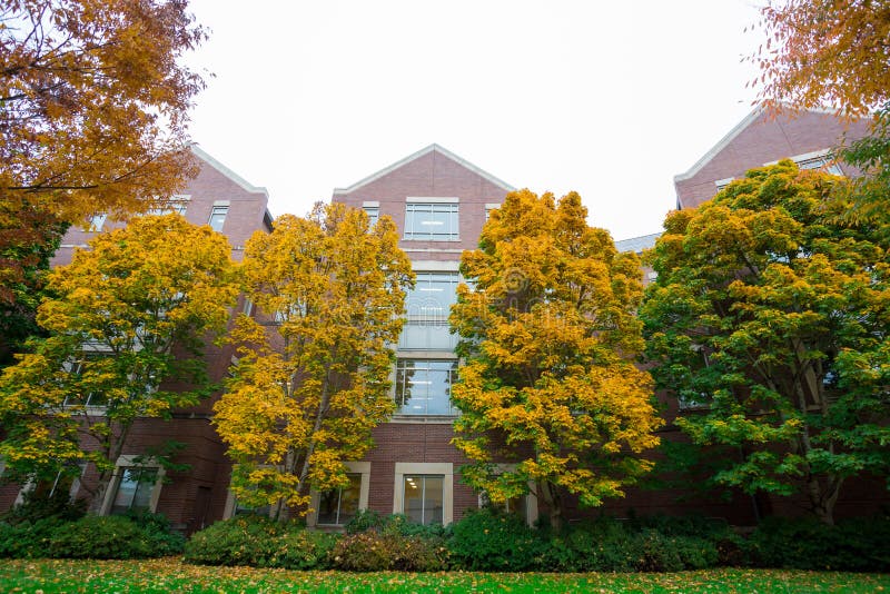 Fall Foilage at University of Oregon Stock Photo - Image of school ...