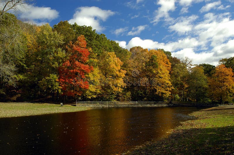 Fall Foliage stock photo. Image of golden, forest, october - 10771066