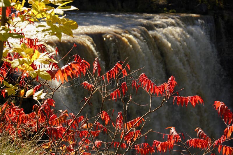 Fall foliage stock image. Image of abstraction, abstract - 3174939