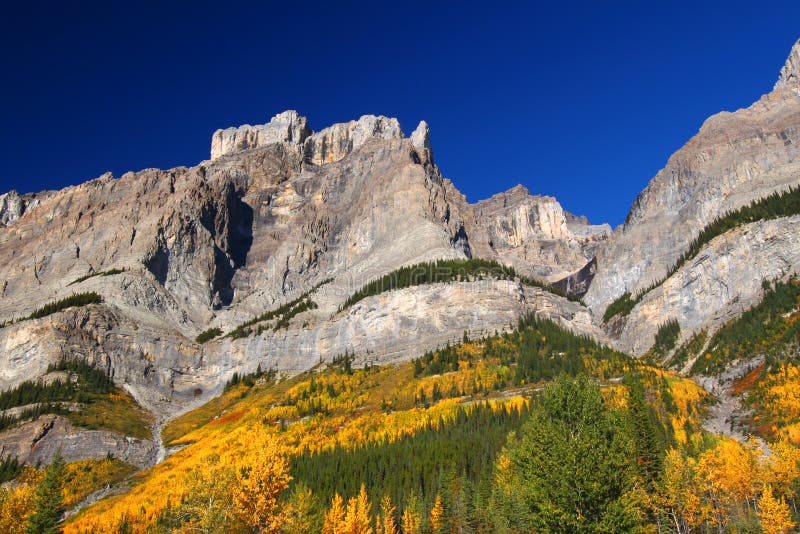 Fall Foliage in Banff Park stock photo. Image of scene - 22436384