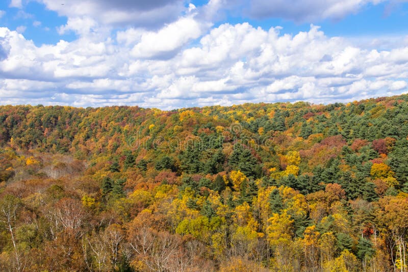 Fall foliage stock photo. Image of colors, yellow, hillside - 205728152