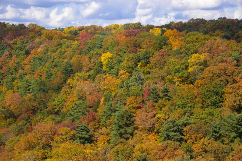 Fall foliage stock photo. Image of beautiful, colors - 205728160