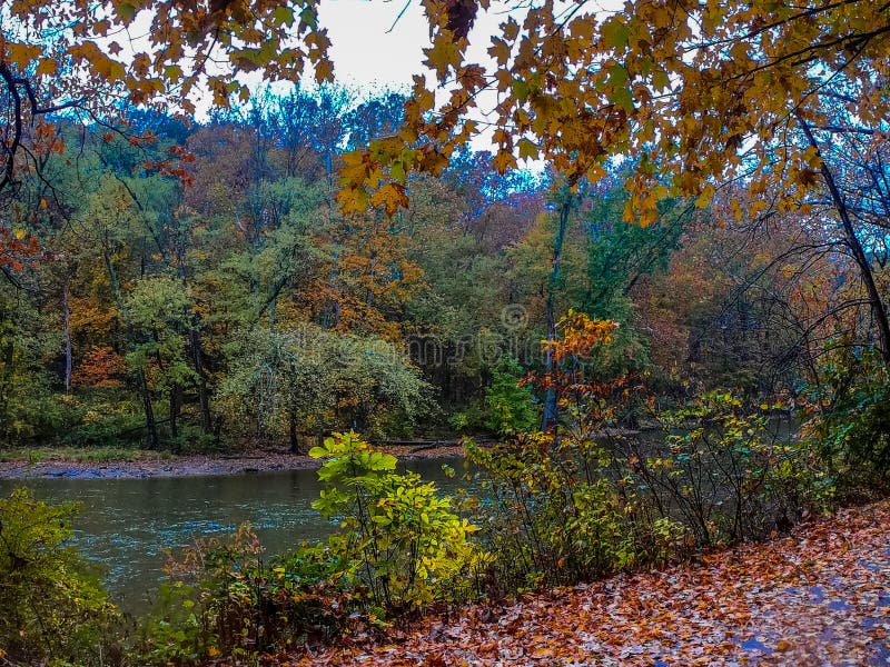 Fall foliage stock image. Image of trees, riverside - 205728199