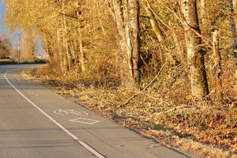 Fall Foliage on Bicycle Path Stock Photo - Image of fall, path: 262556304